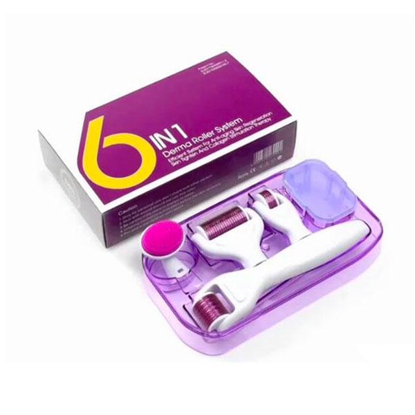 6-in-1 Derma Roller Set