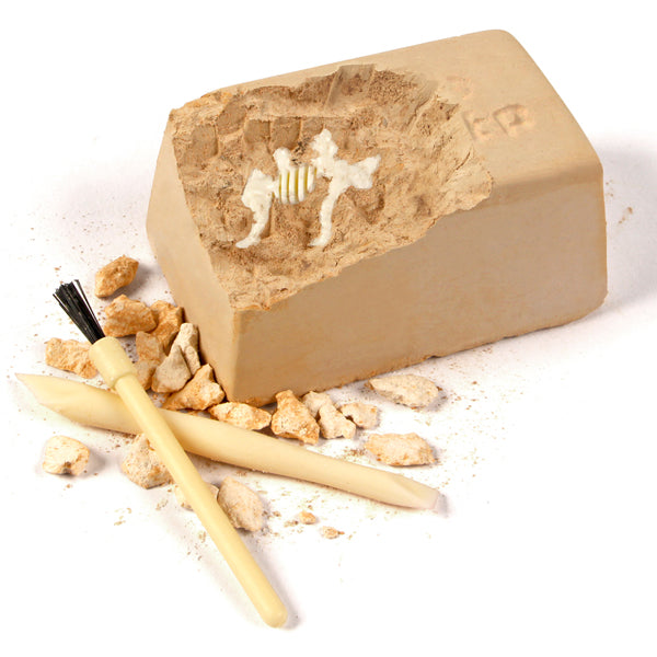 Junior Archaeology Mini Dig Kit - Stegosaurus Skeleton